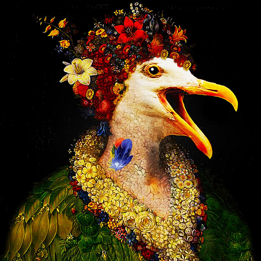 Bird Headed & Surreal | Coldwell and Coldwell